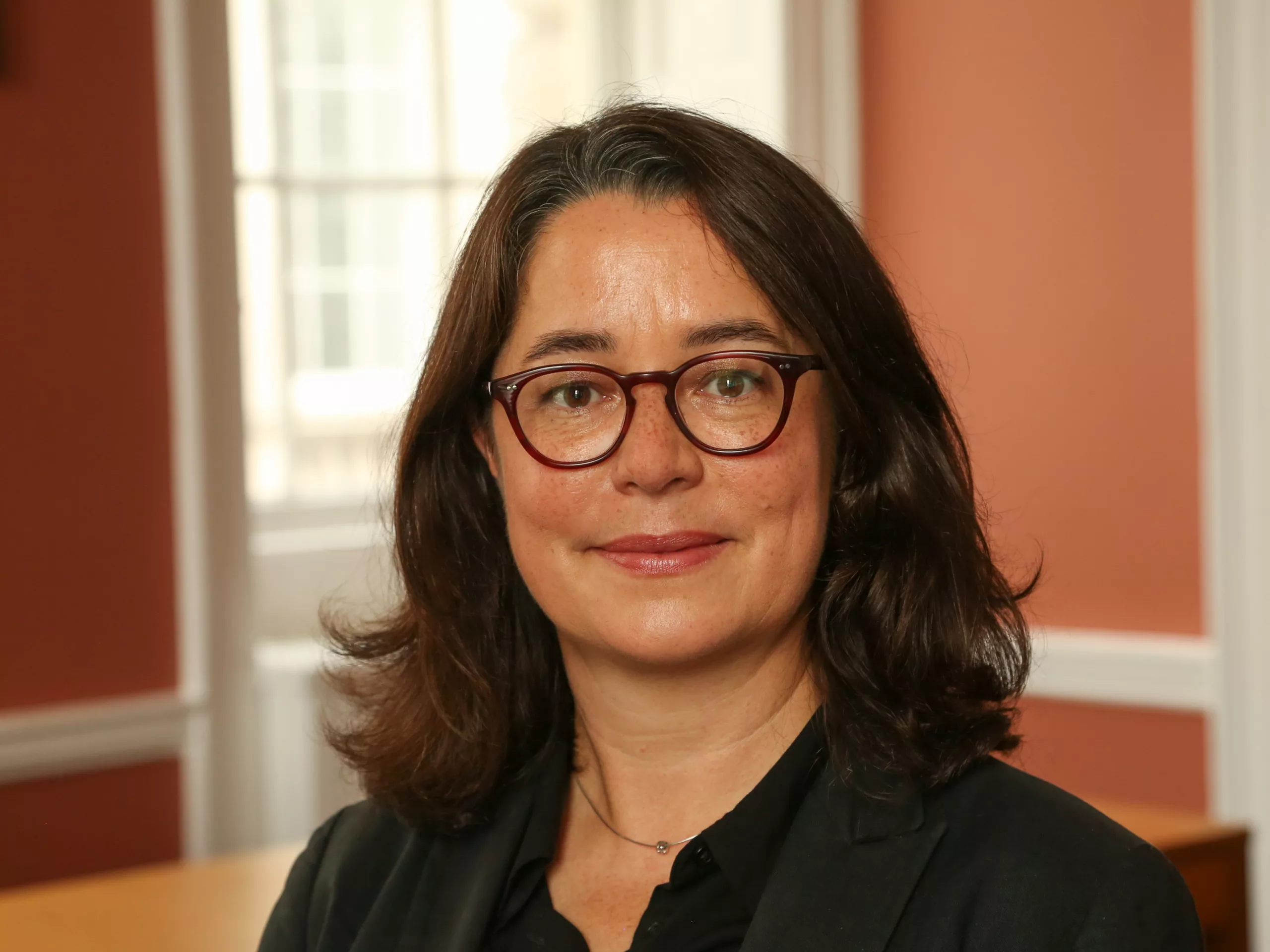 Professor Tanya Aplin - Three New Square